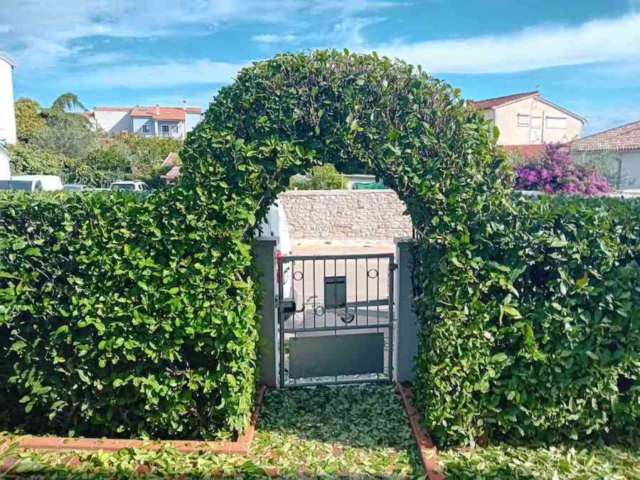 LIPA KORTA | LIPA KORTA